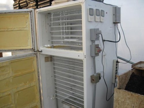 DIY Germination Chamber (How To Build Inexpensively)